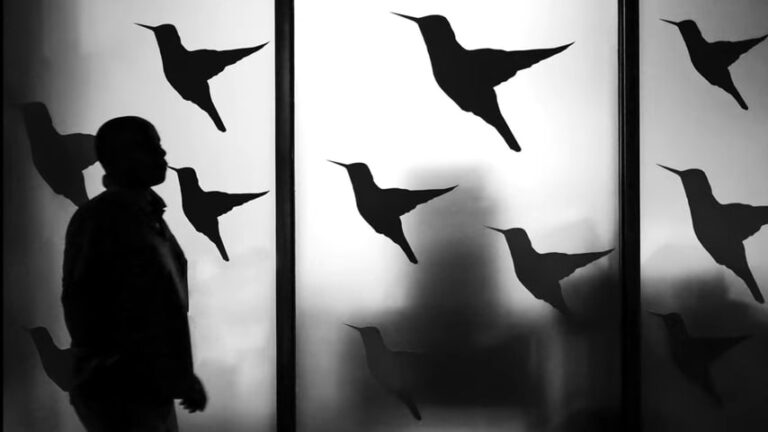 10 Tips How to Create Juxtaposition in Your Photography - Lens Magic