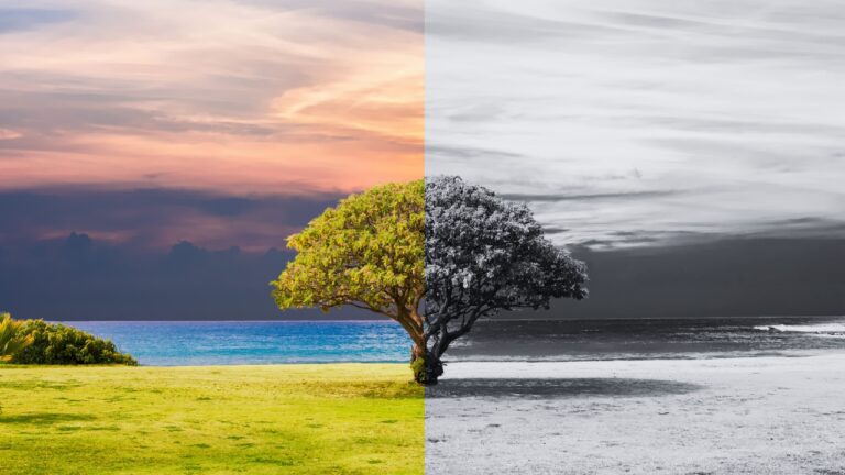 10 Tips How to Create Juxtaposition in Your Photography - Lens Magic